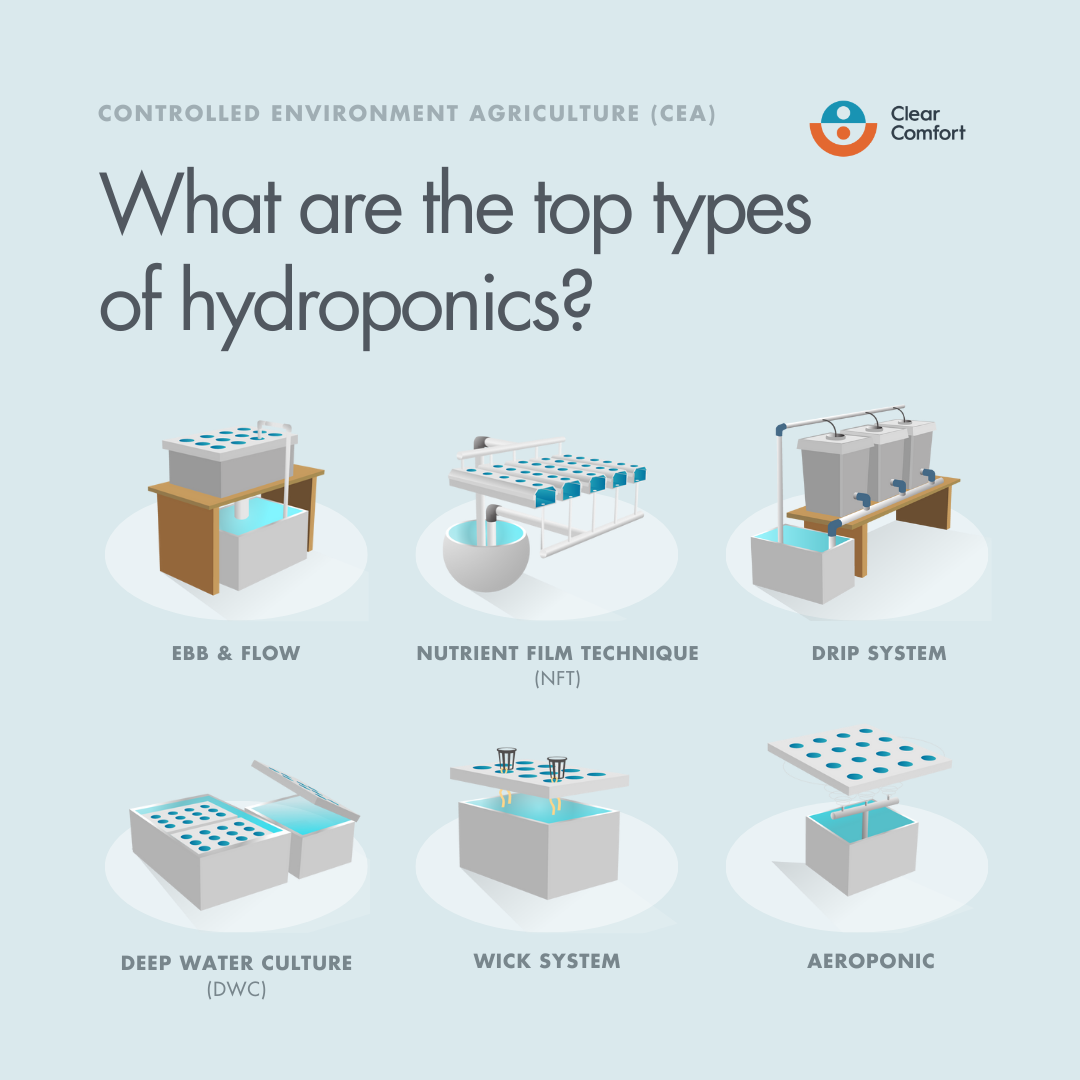 Ultimate Guide: Controlled Environment Agriculture Types & Requirements