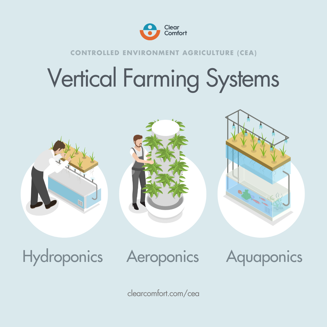 The Future of Vertical Farming: A Comprehensive Guide