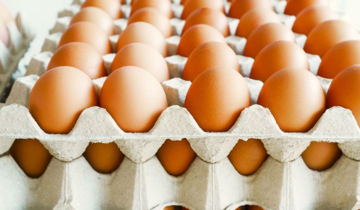 Cracking the Code: Is Poultry Water Sabotaging Your Egg Shell Quality?